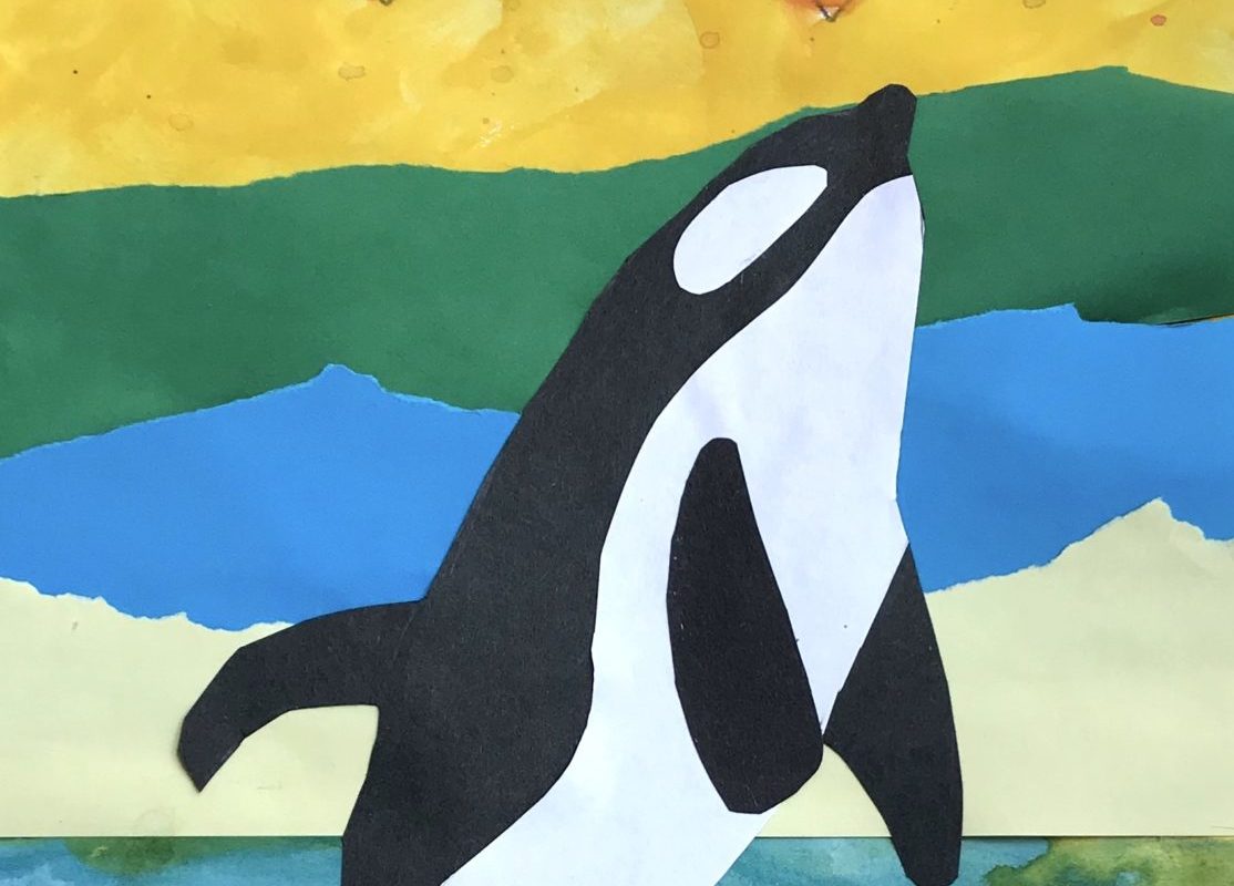 Orca Whale Wins Artist of the Week